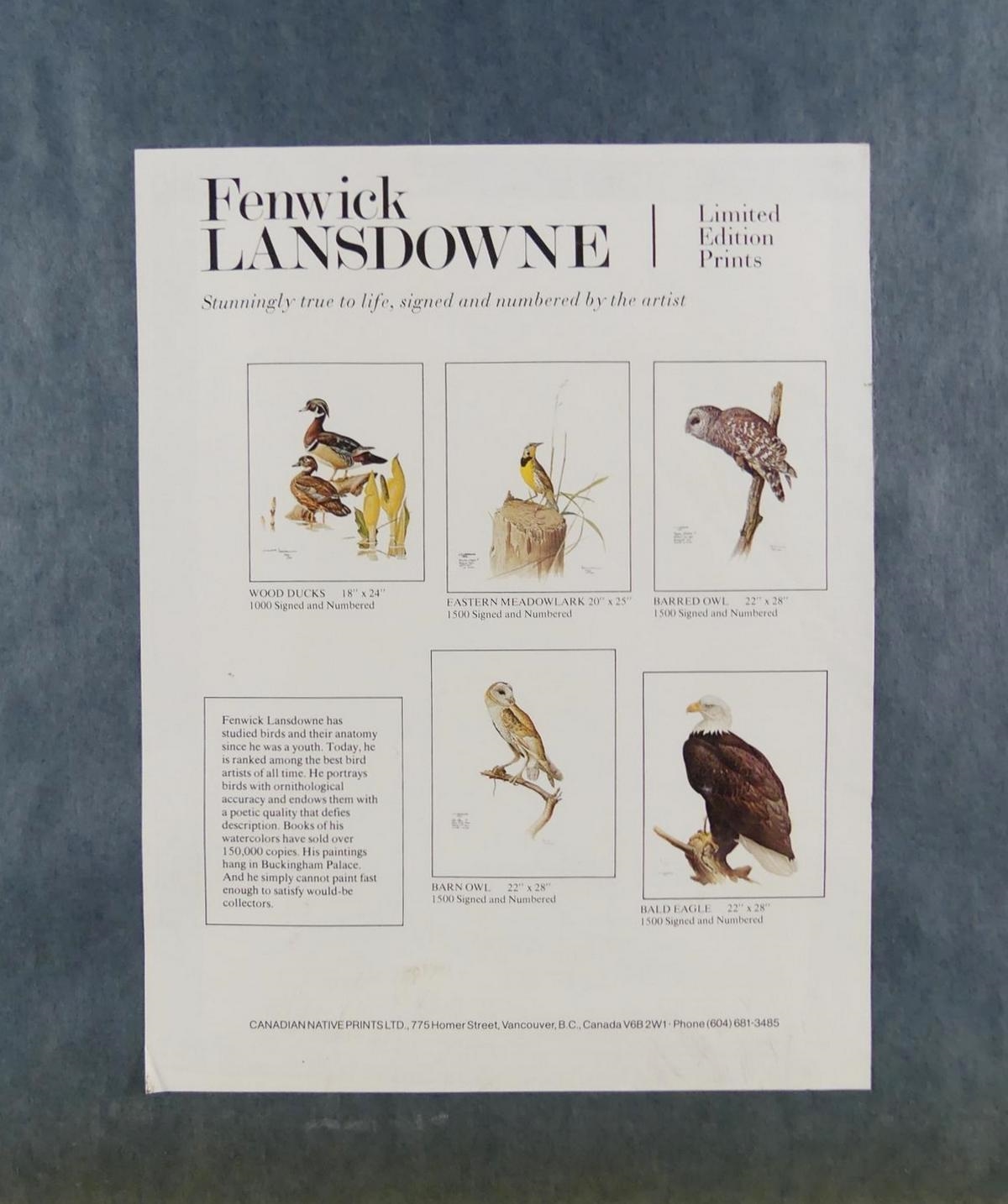 James Fenwick Lansdowne | Barred Owl | MutualArt