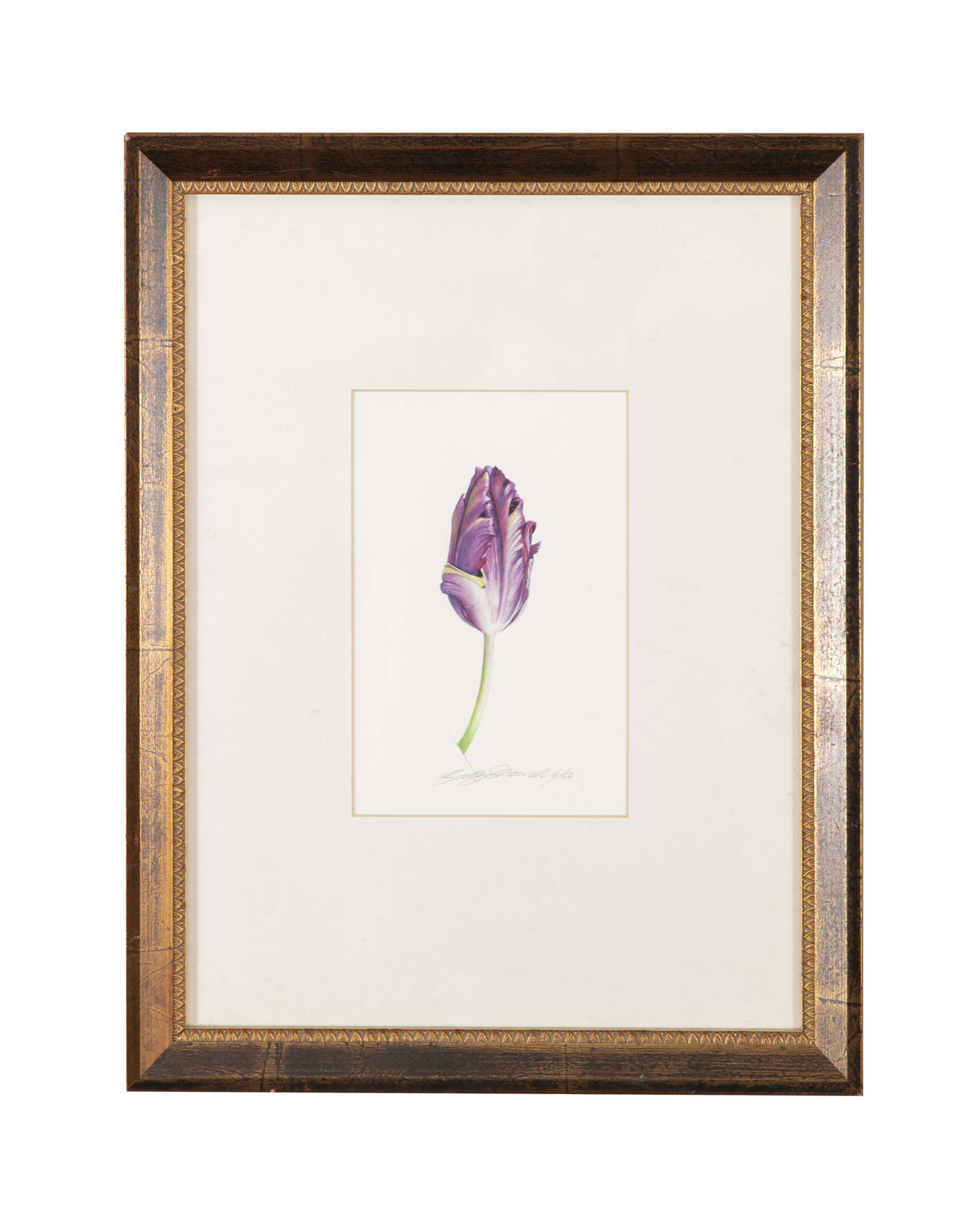 Billy Showell | Botanical Studies | MutualArt