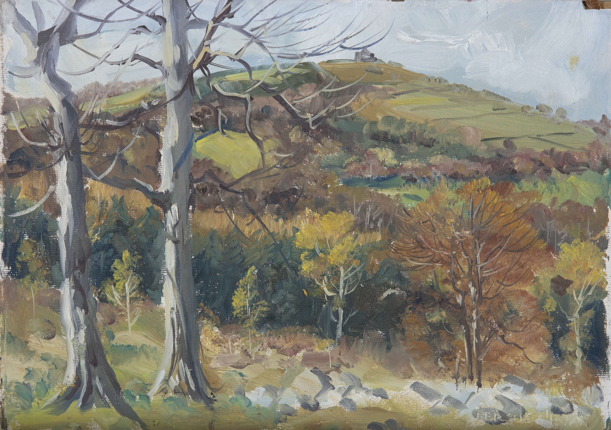 Fergus O'Ryan | Pine Forest (1973) | MutualArt