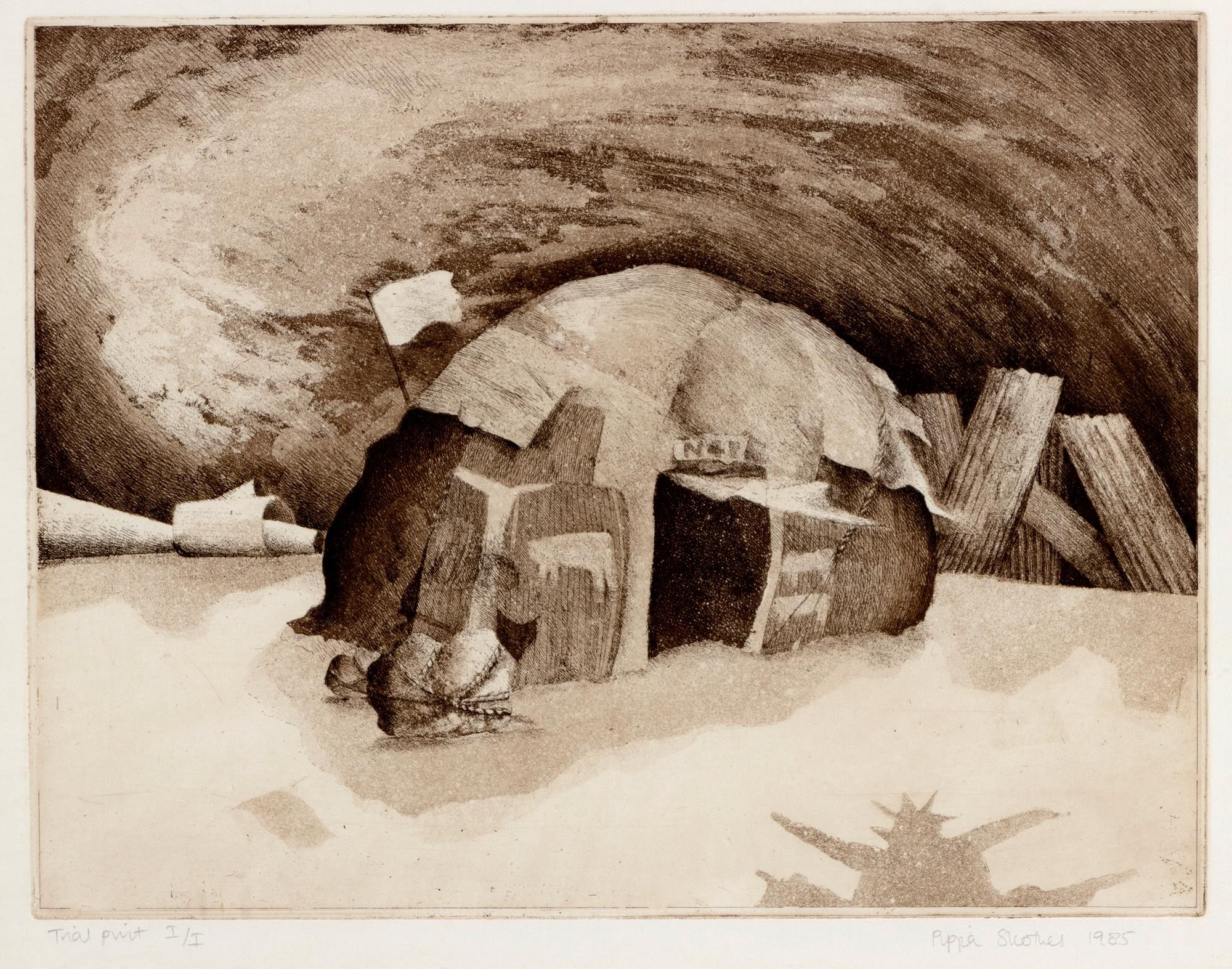 Pippa Skotnes | SHELTER (1985) | MutualArt