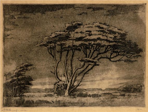 Jacob Hendrik Pierneef | TREES (1921) | MutualArt