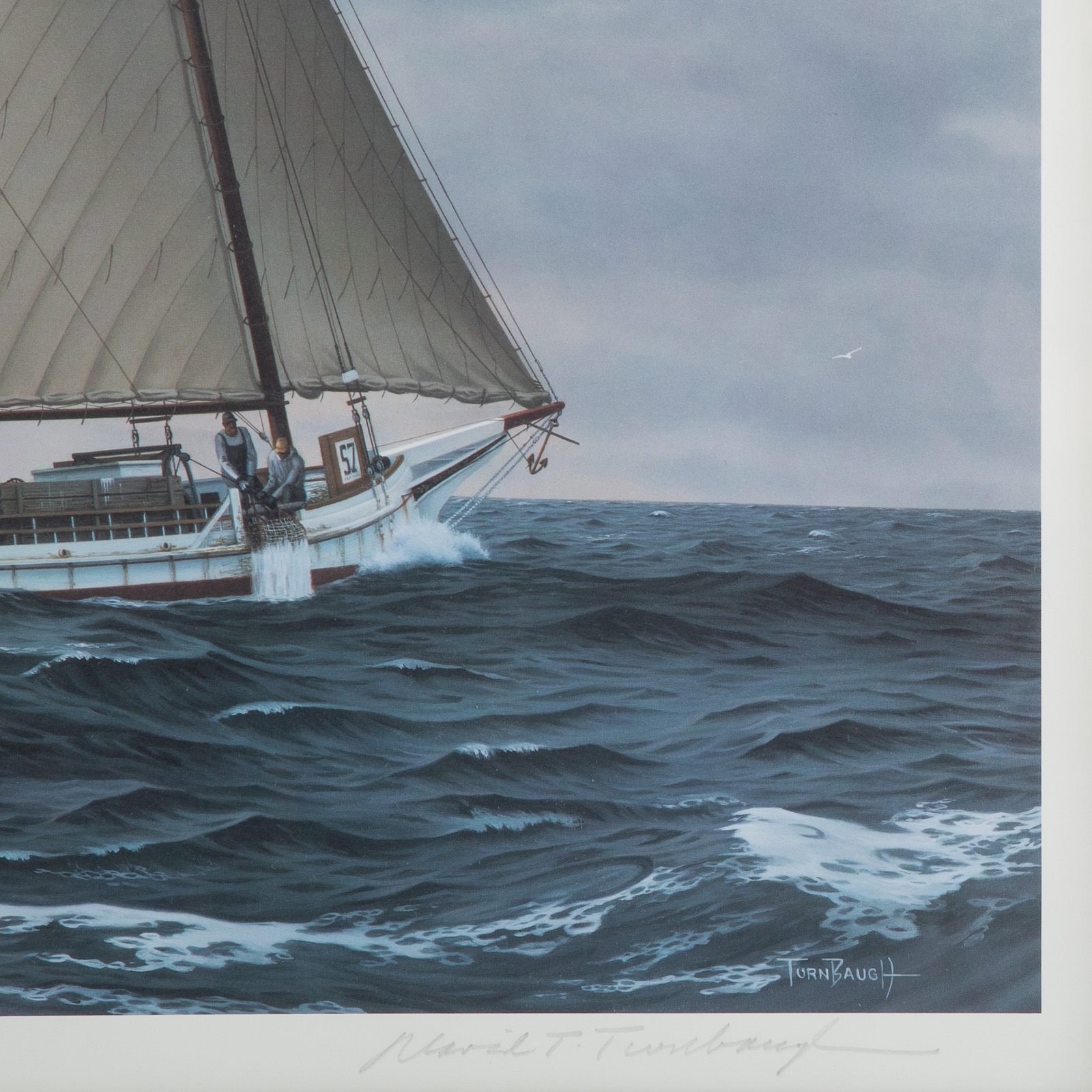 David Turnbaugh | The Sea Gull | MutualArt