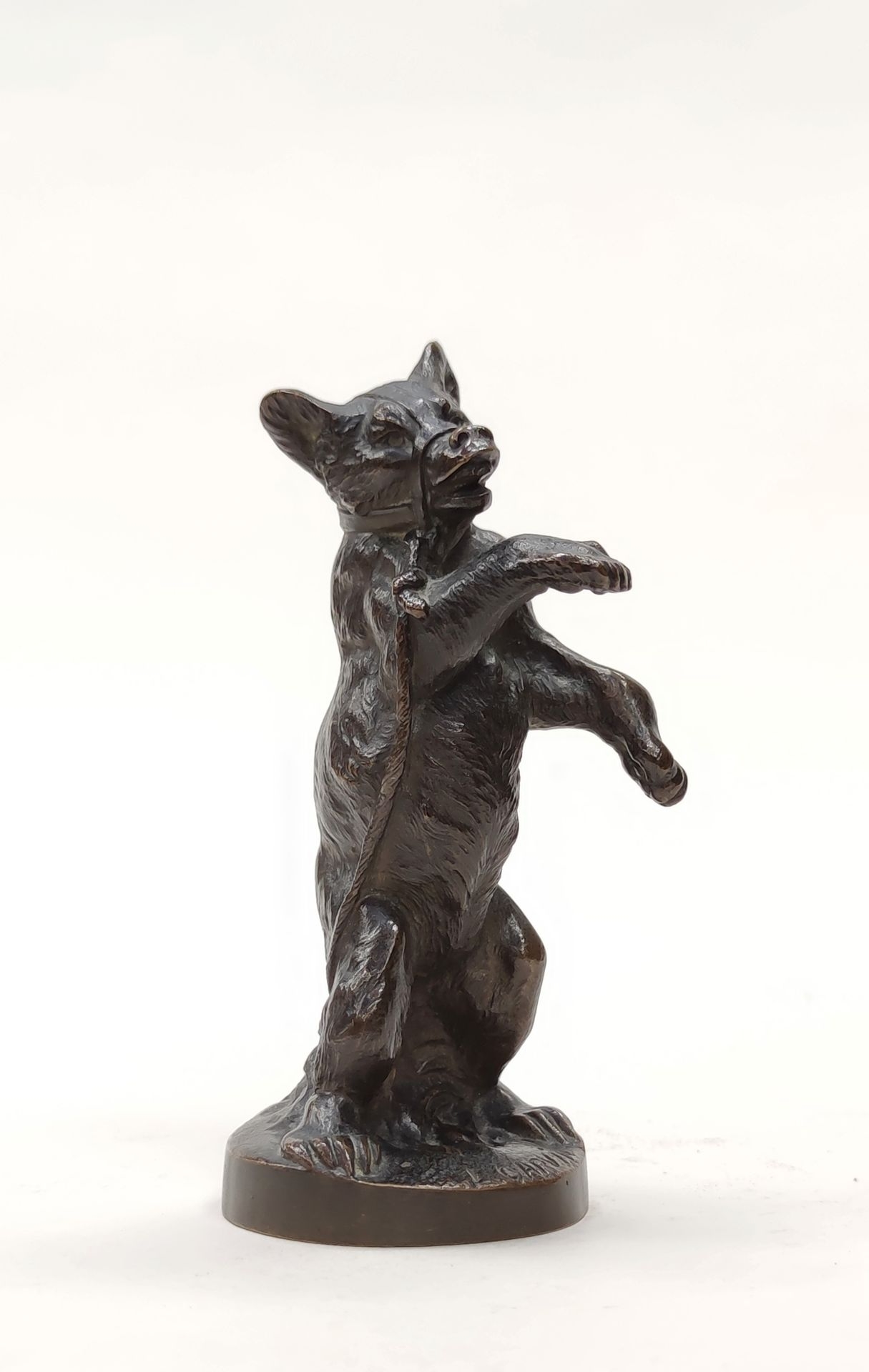 Louis Carvin | Muzzled bear | MutualArt