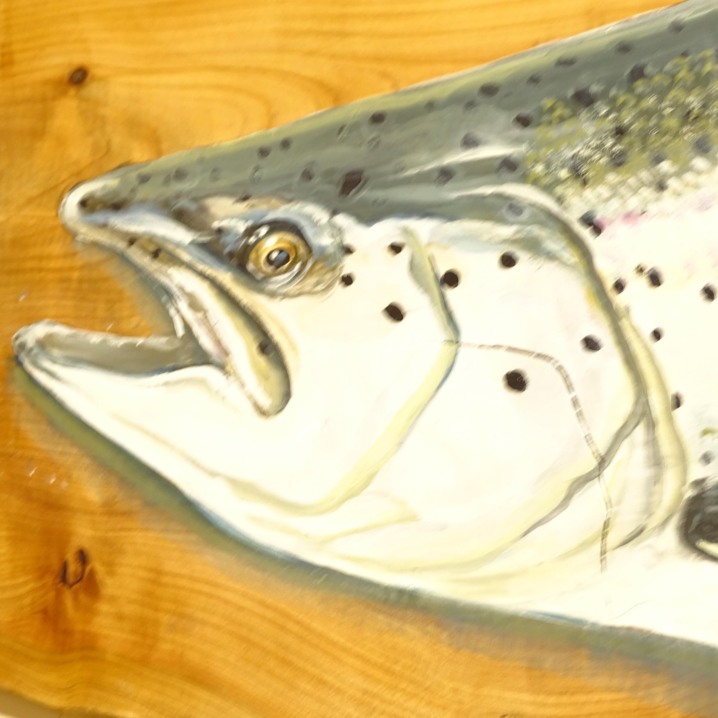 Clive Fredriksson | rainbow trout | MutualArt