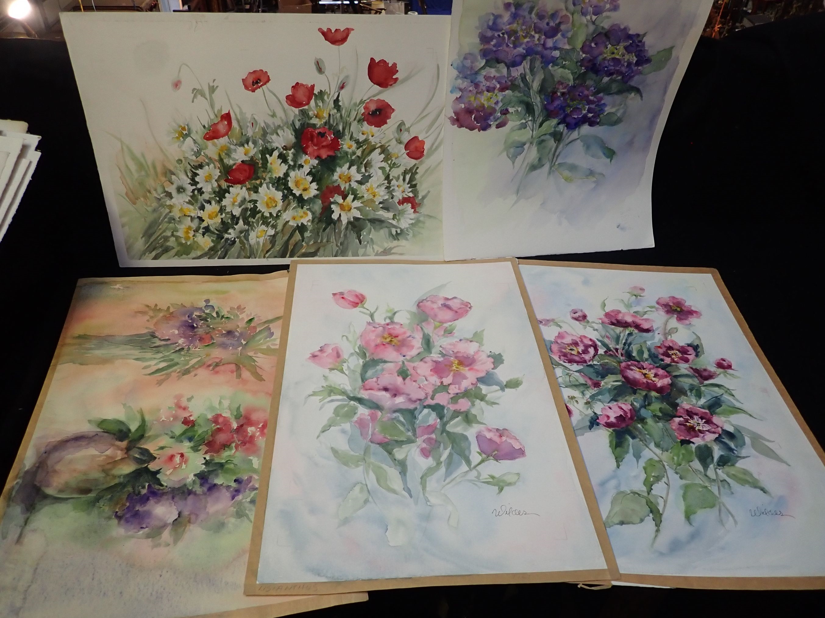 Sue Ellen Wilder | FLORAL STUDIES | MutualArt
