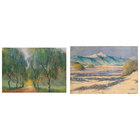 Harry Linder | Pepper Tree Drive and Desert in Blooms | MutualArt