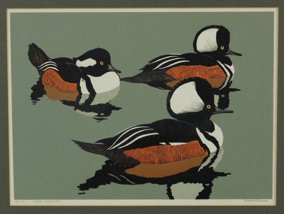 Robert Gillmor | Cley Marsh and its Birds (1996) | MutualArt