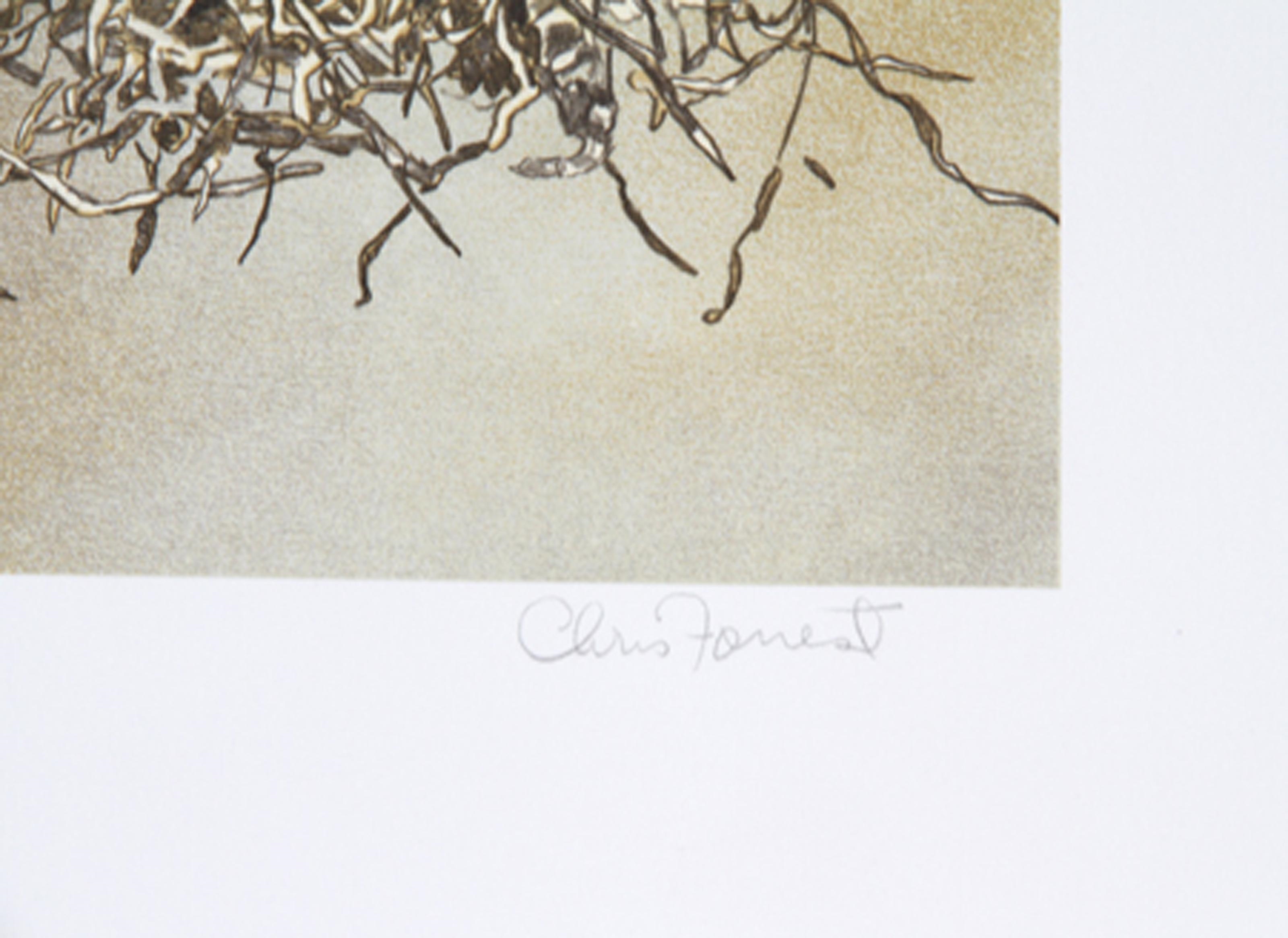 Chris Forrest | Snow Owl (1980) | MutualArt