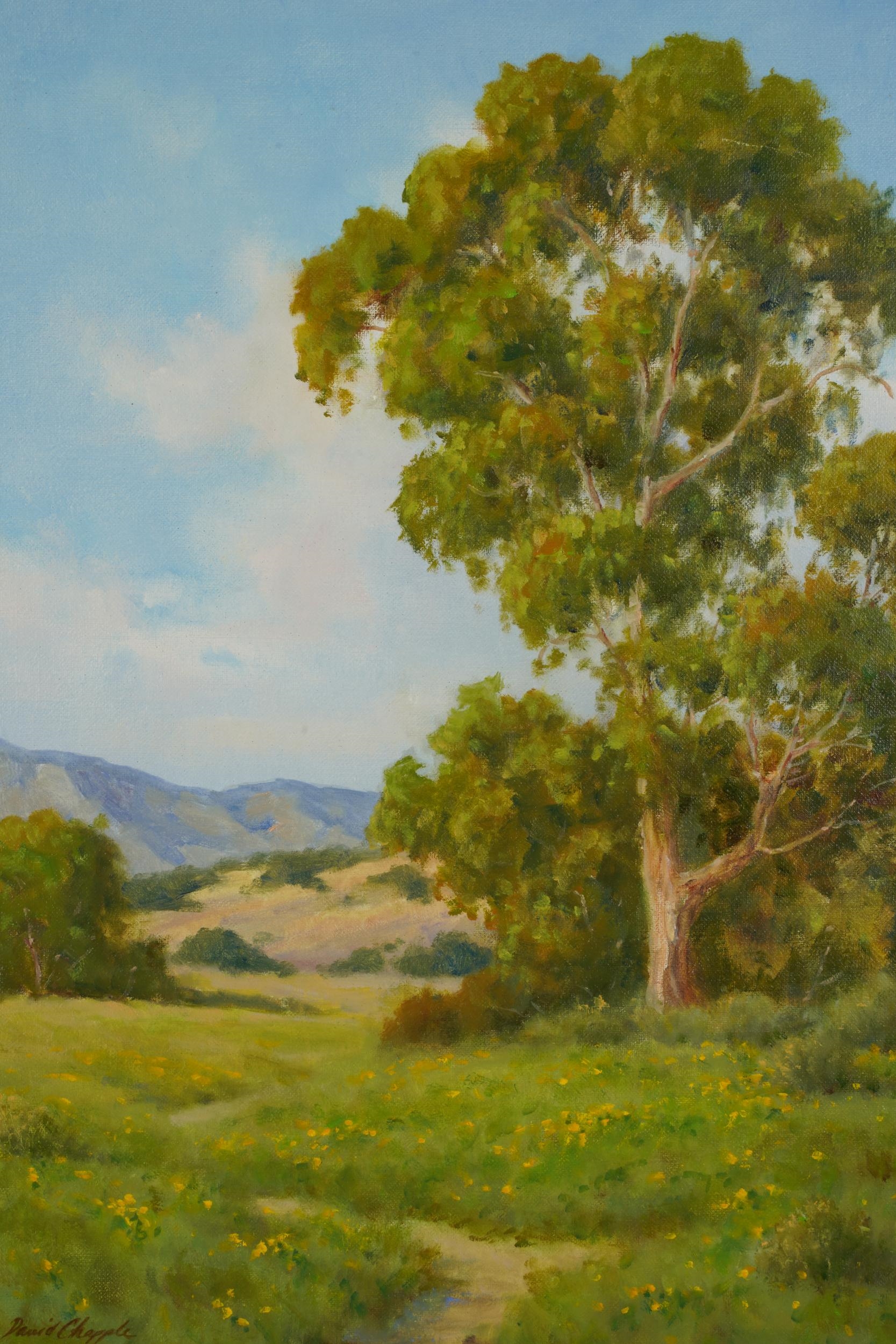 David Chapple | : SERENITY | MutualArt