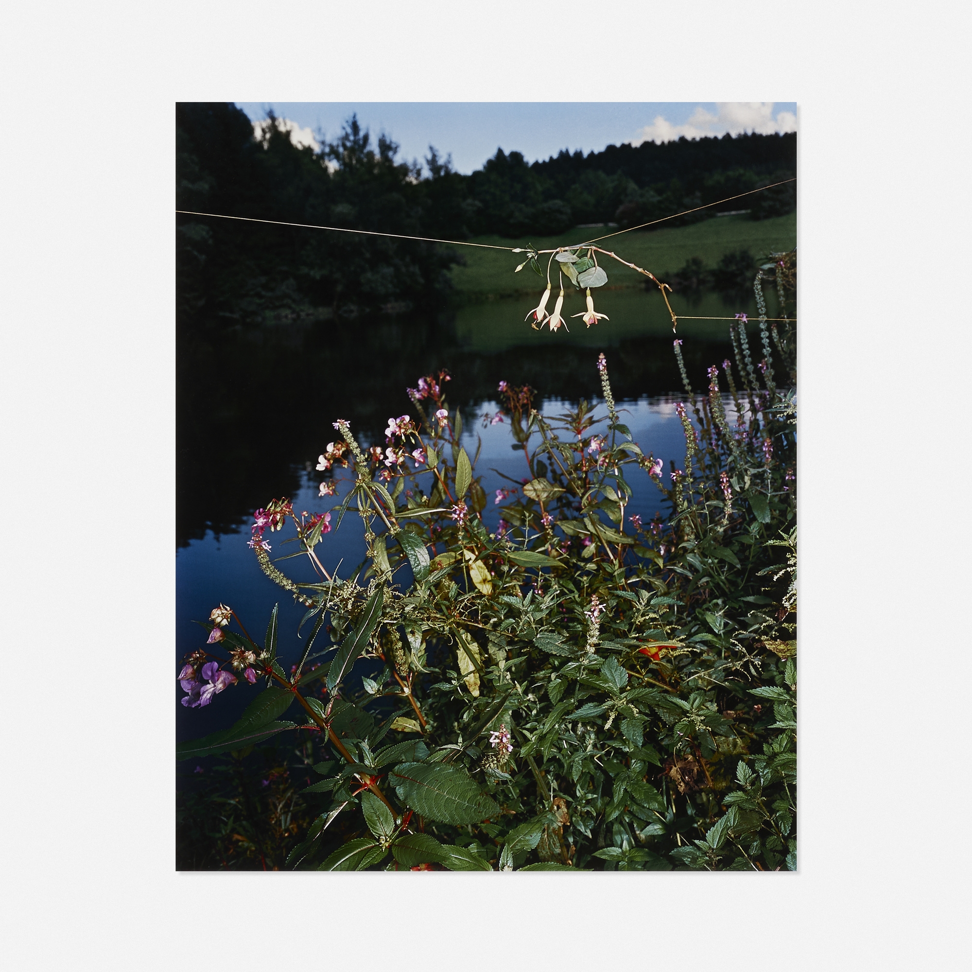 Collier Schorr | Traitor | MutualArt