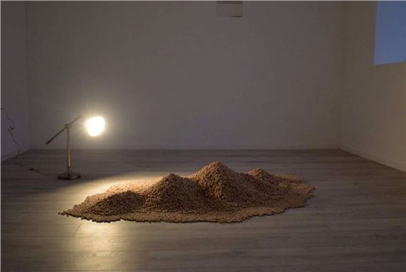 Juan Carlos Coppel | Artist Overview | MutualArt