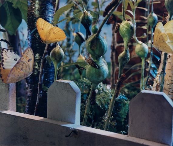 Gregory Crewdson | Untitled (butterflies and ball of larvae) (1990 ...