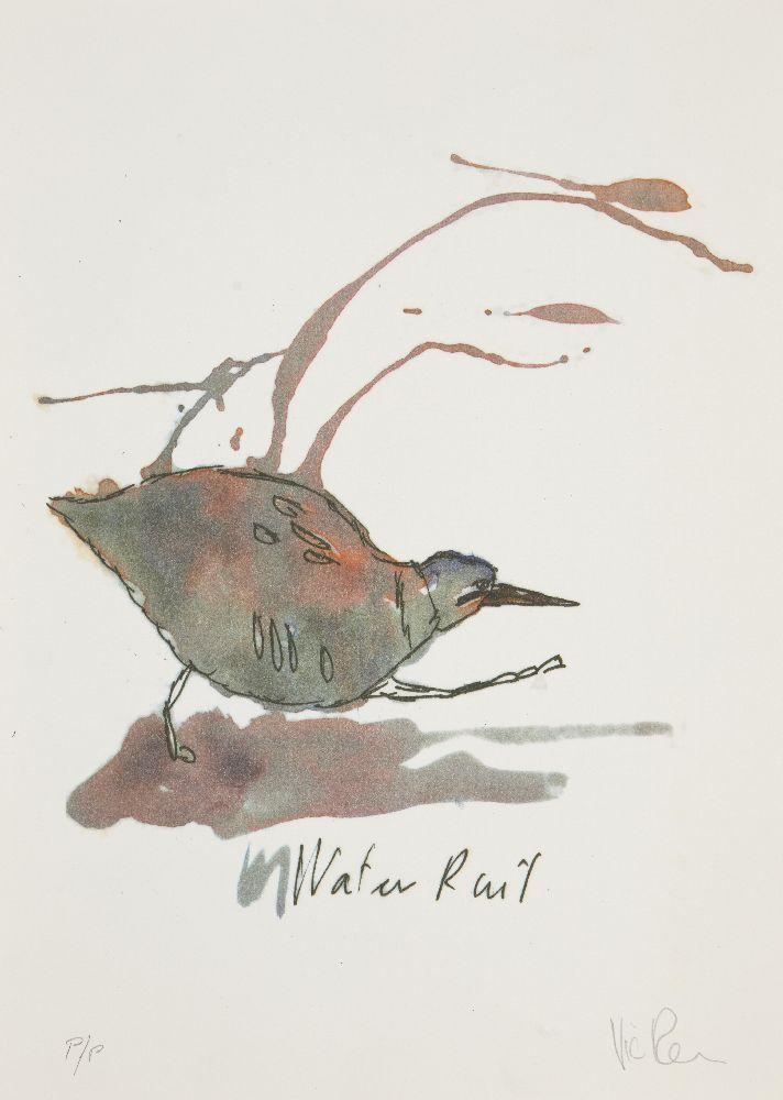 Vic Reeves | Birds Series (2006) | MutualArt