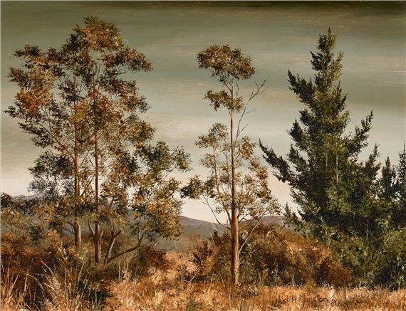 Judith Moreton | Motuoara-Tapu (1980) | MutualArt