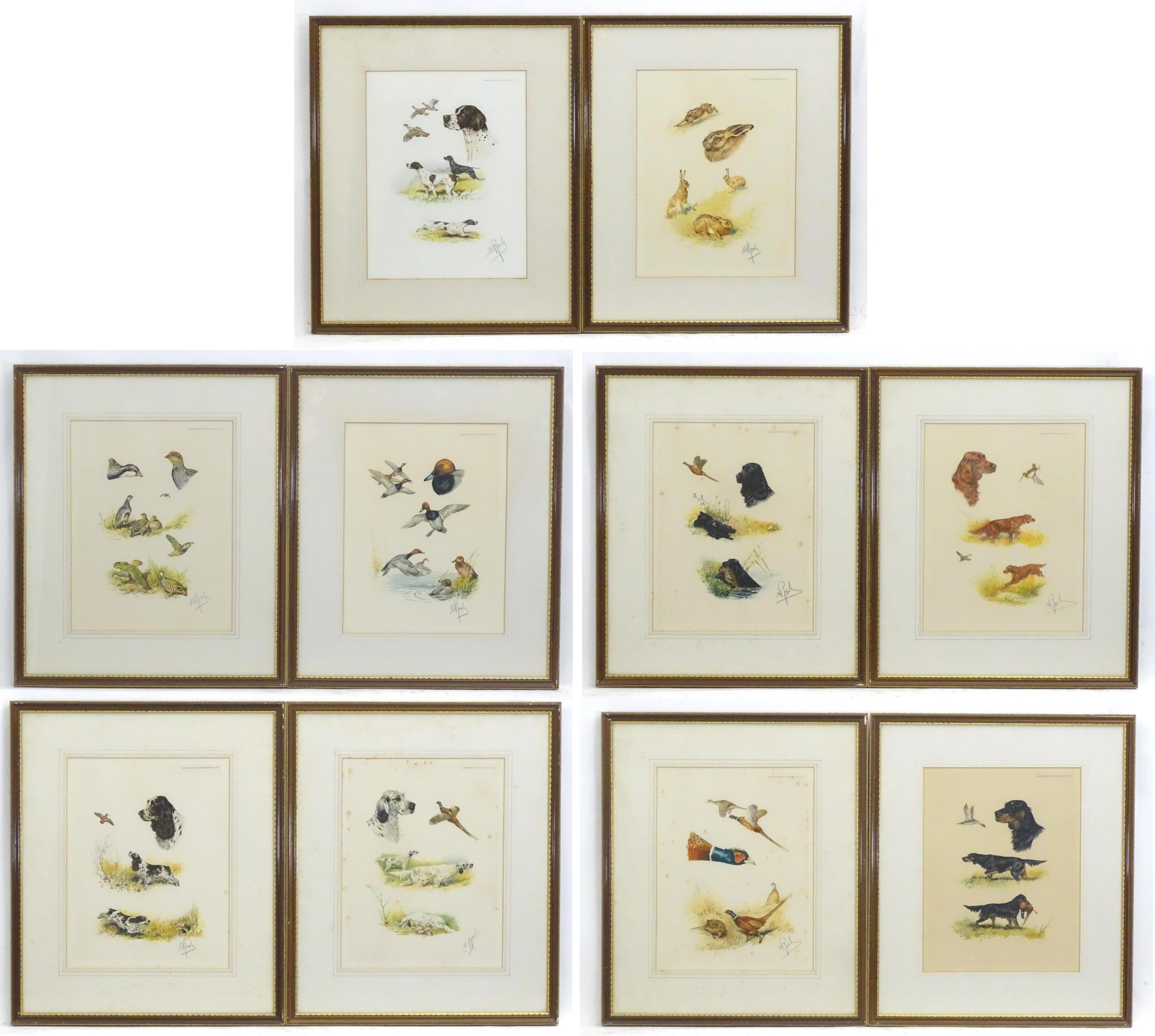 Boris Riab | Studies of sporting animals to include Pochard Duck ...