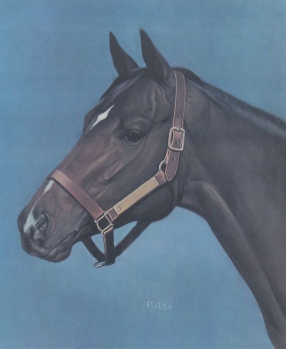 M. Jerry Puleo | Honest Pleasure | MutualArt