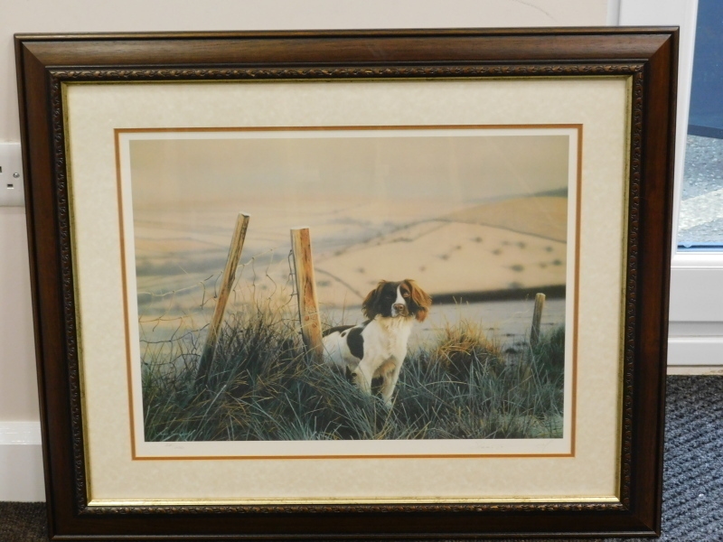 Steven Townsend | Gun dog in a landscape | MutualArt