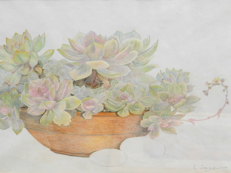 Lyn Simms | Still life | MutualArt