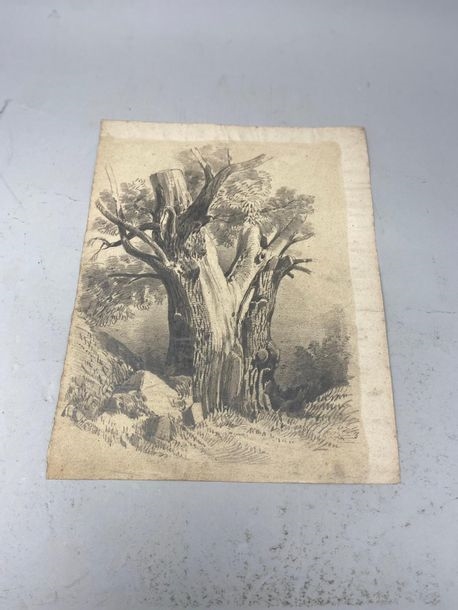 Émile Gautier | Portfolio of 25 pencil drawings representing landscapes ...