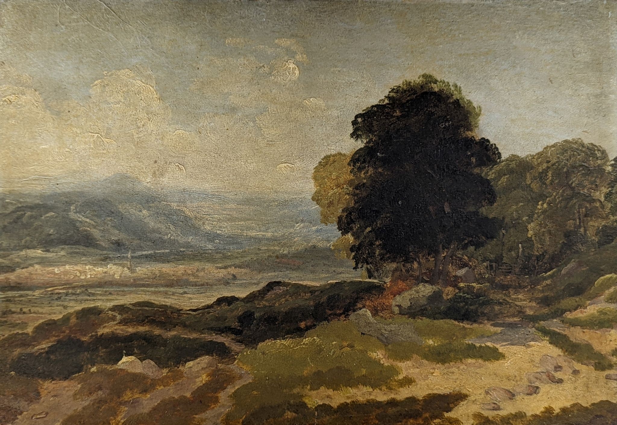 Anthony Vandyke Copley Fielding | Trees in a landscape | MutualArt