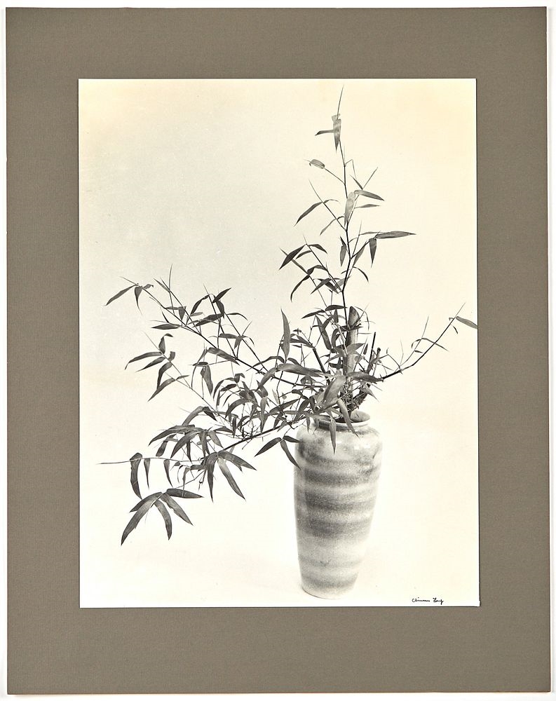 Long Chin-San | Bamboo Still Life | MutualArt