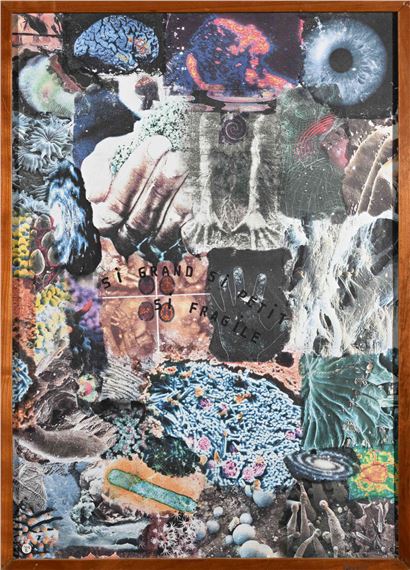 André Francis | Performance at Auction | MutualArt