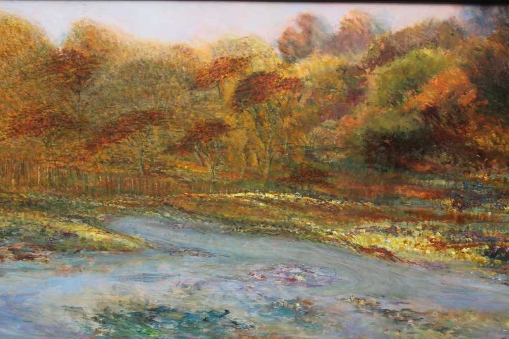Peter Jander | Extensive Landscape | MutualArt