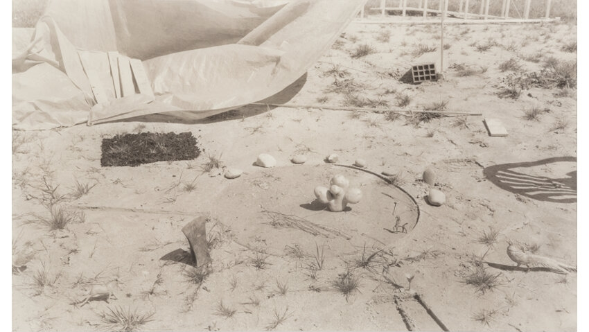 Jan Groover | Untitled, 1983 | MutualArt