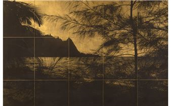 Sally Larsen | 4 Artworks at Auction | MutualArt