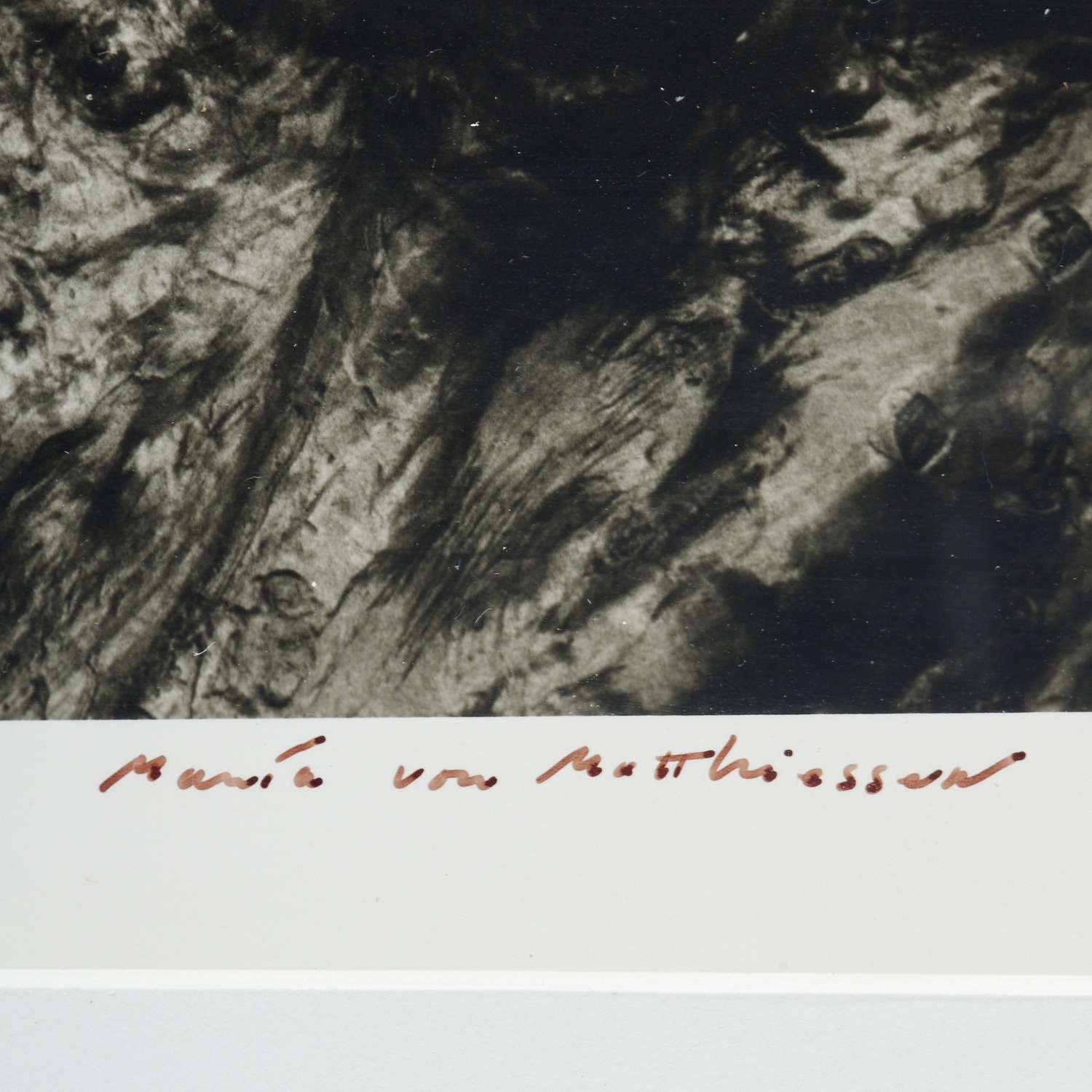 Maria von Matthiessen | signed photograph (Circa 1997) | MutualArt