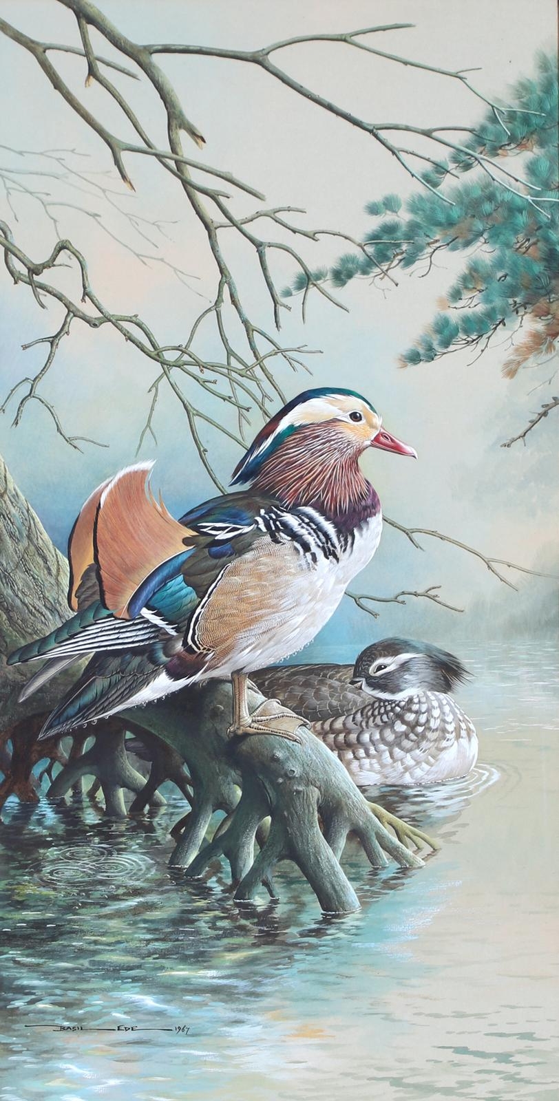 Basil Ede | Mandarin Ducks (1967) | MutualArt