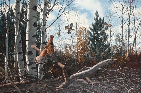 David Maass | RUFFED GROUSE | MutualArt