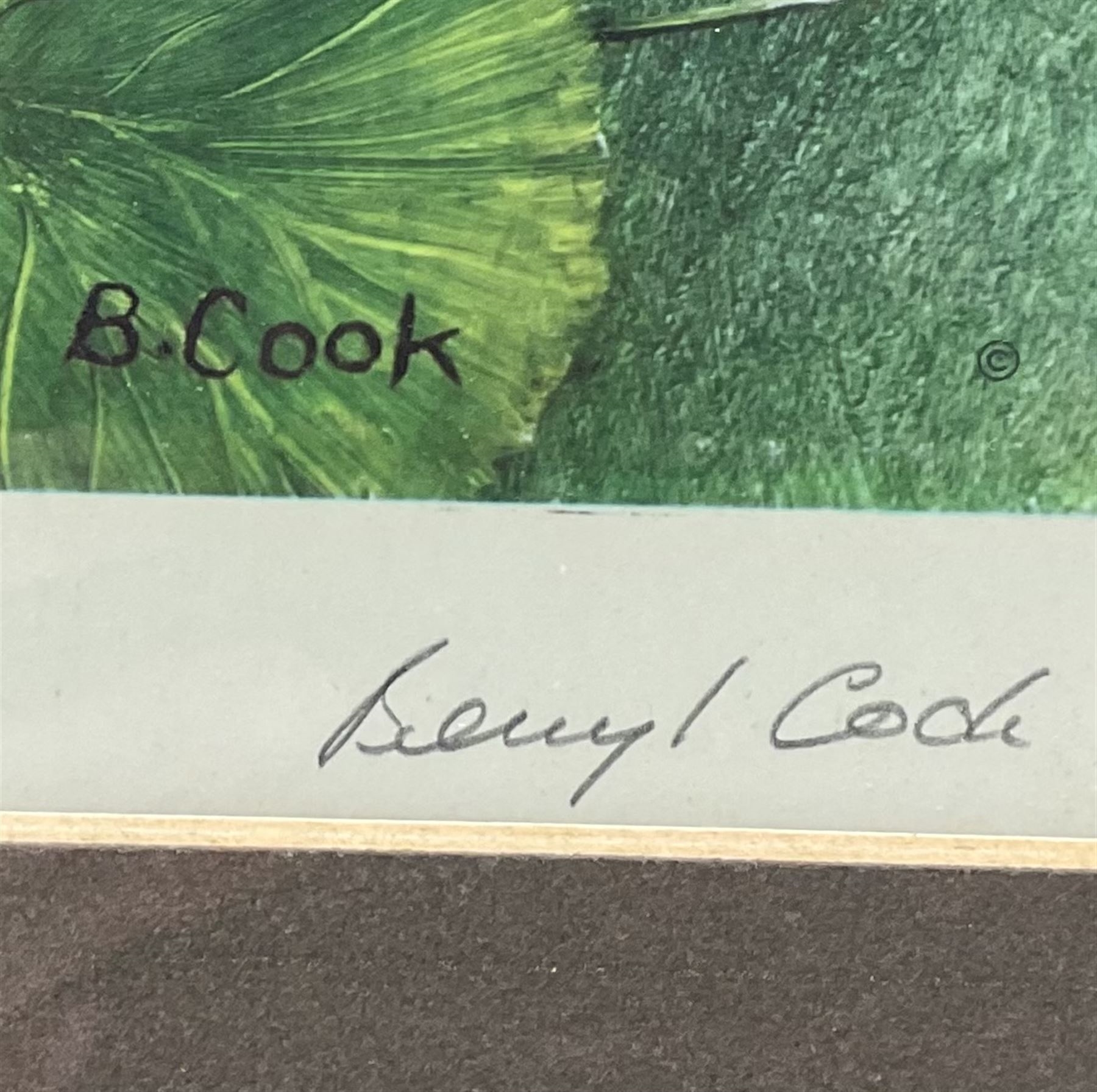 Beryl Cook | 'Fairy Dell' | MutualArt