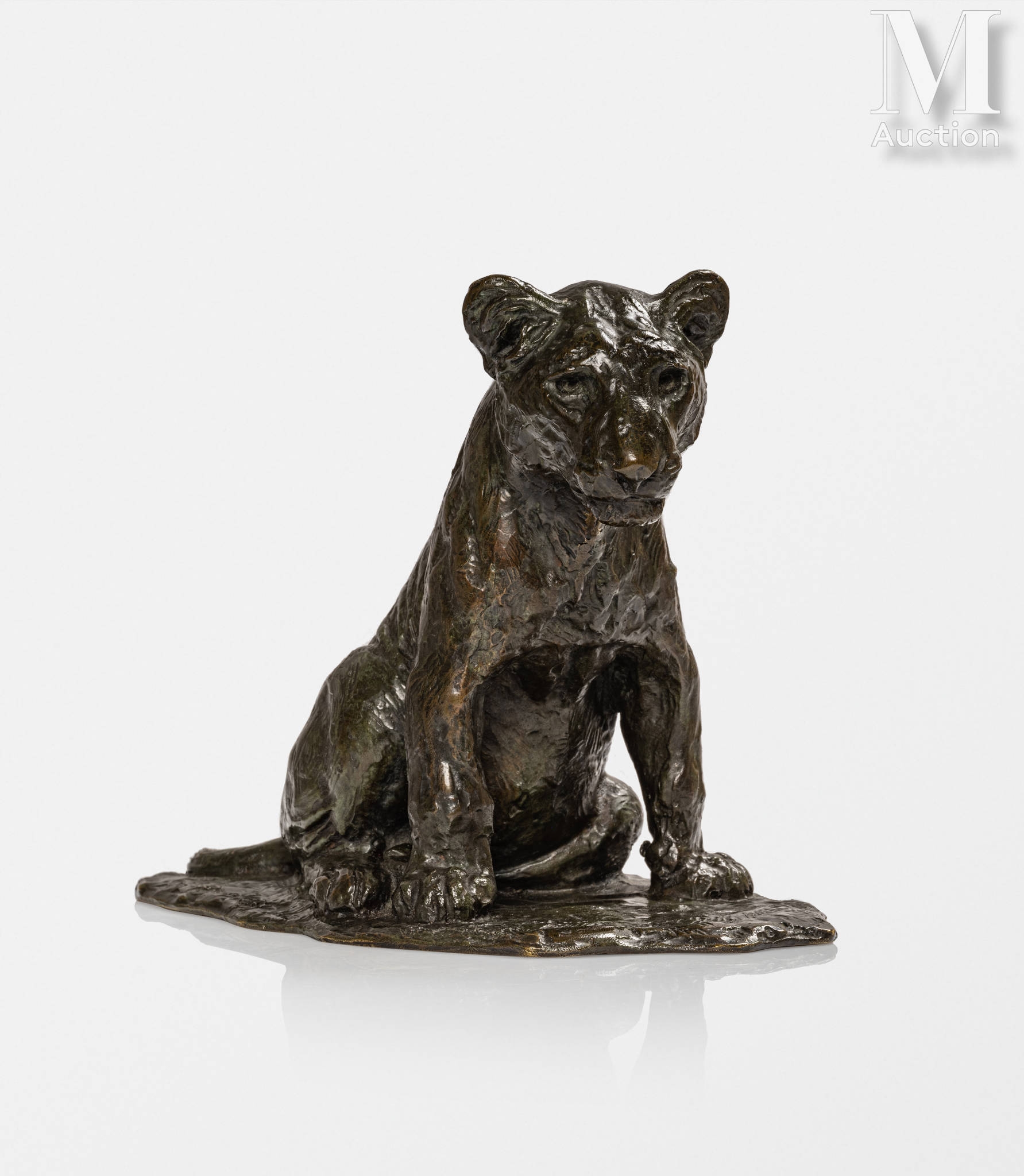 Roger Godchaux | Seated cub | MutualArt