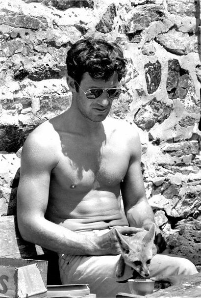 Alain Noguès | Jean-Paul Belmondo with a fennec during the shooting of ...
