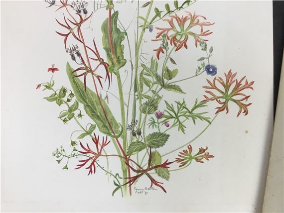 Penny Berry Paterson | large collection of unframed works on paper ...