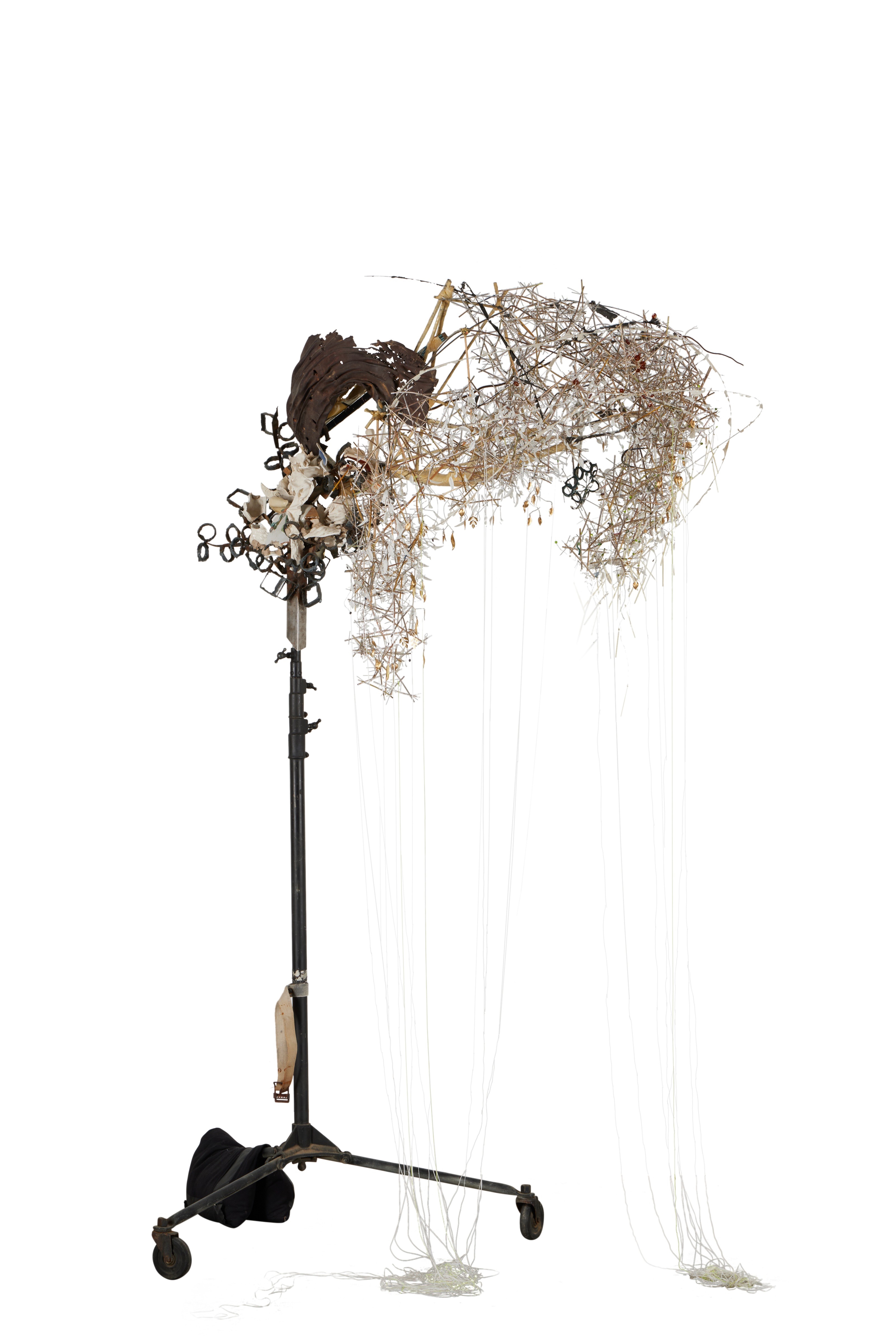 Elliott Hundley | Thyrsus for Agave | MutualArt