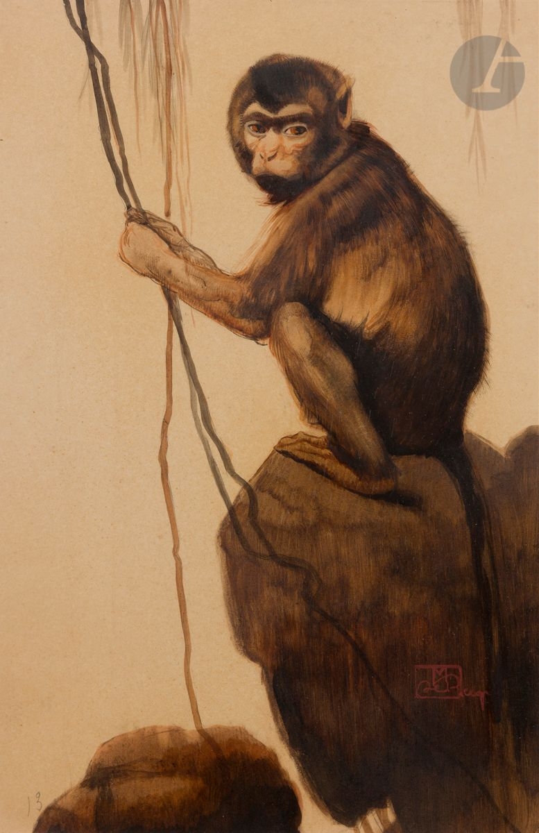 Maurice Jaubert de Becque | The Monkey with creepers | MutualArt