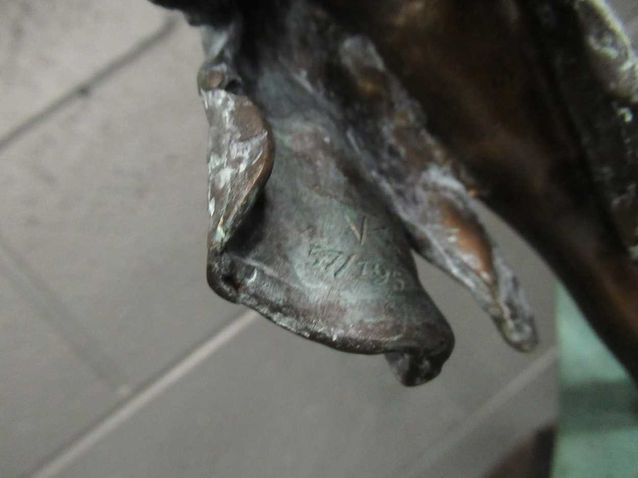 Jennine Parker | Elevation | MutualArt