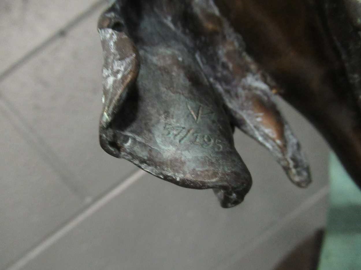 Jennine Parker | Elevation | MutualArt