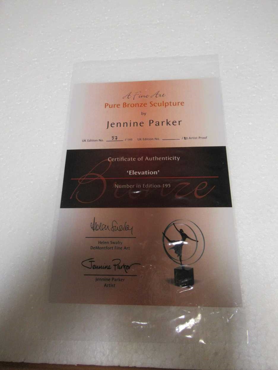 Jennine Parker | Elevation | MutualArt