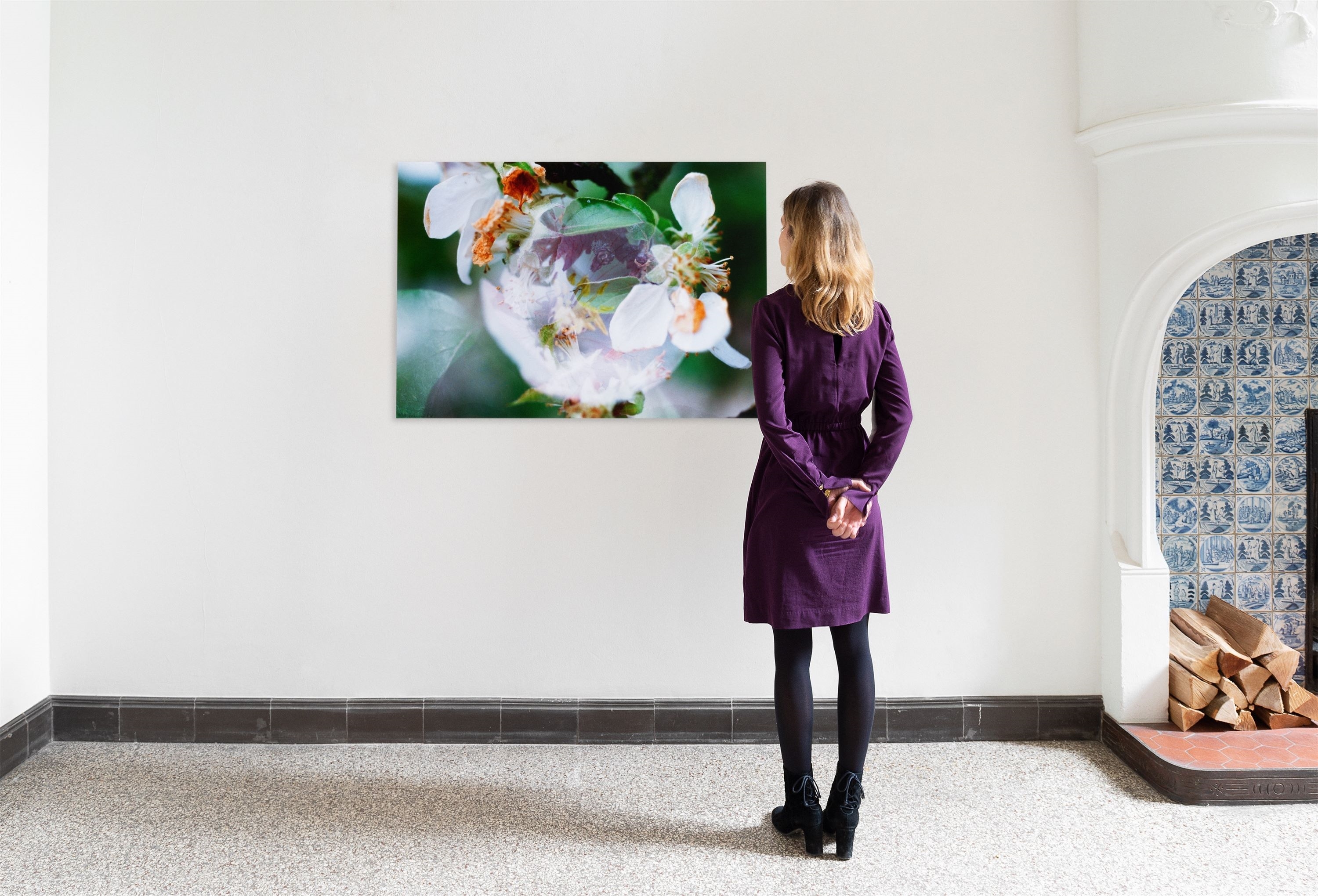 Fischli & Weiss | Flowers. | MutualArt