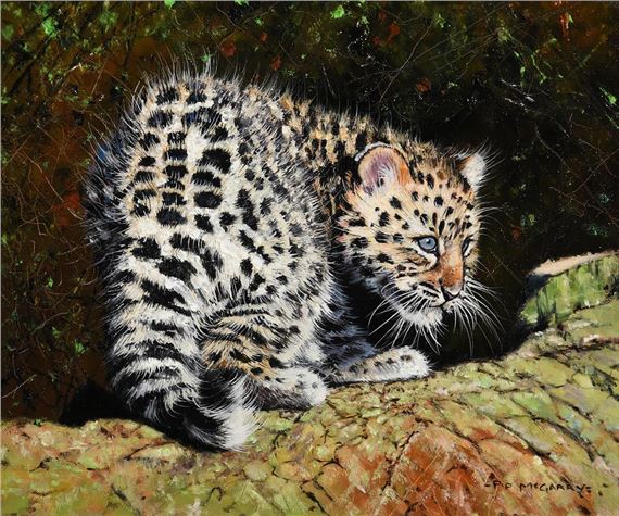 Pip McGarry | Playful Cub | MutualArt