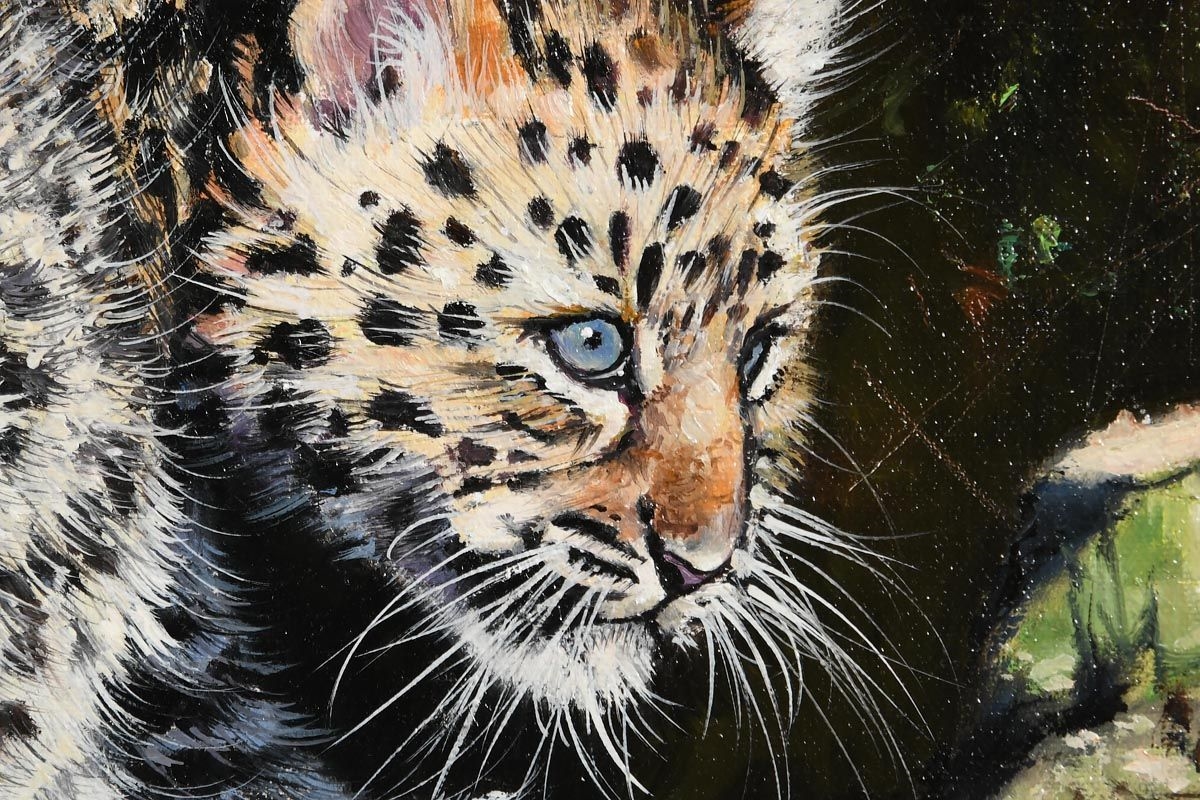Pip McGarry | Playful Cub | MutualArt