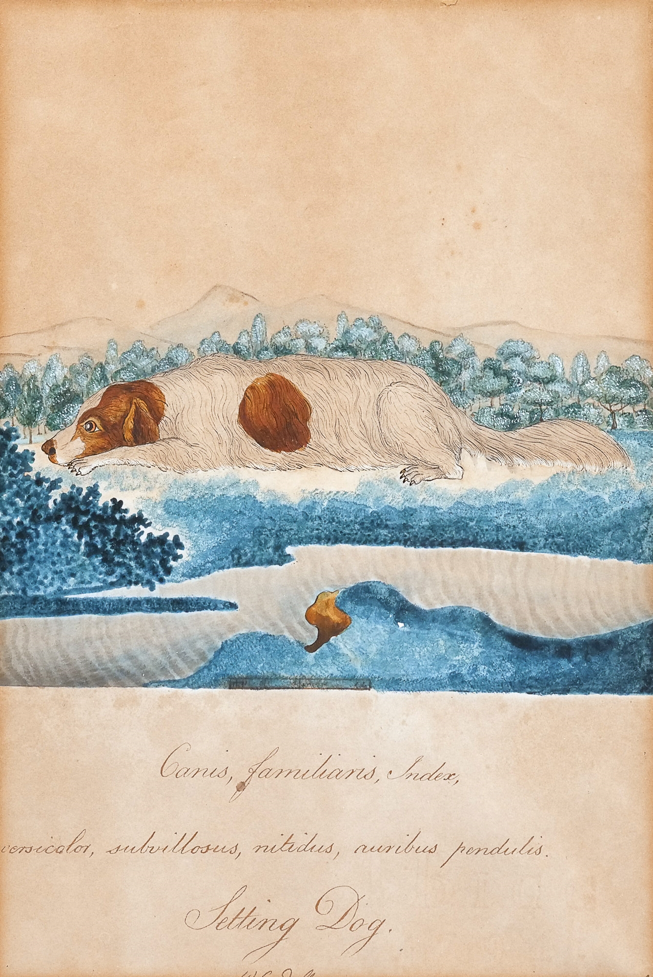 WILLIAM GOODALL | WILLIAM GOODALL (English | MutualArt