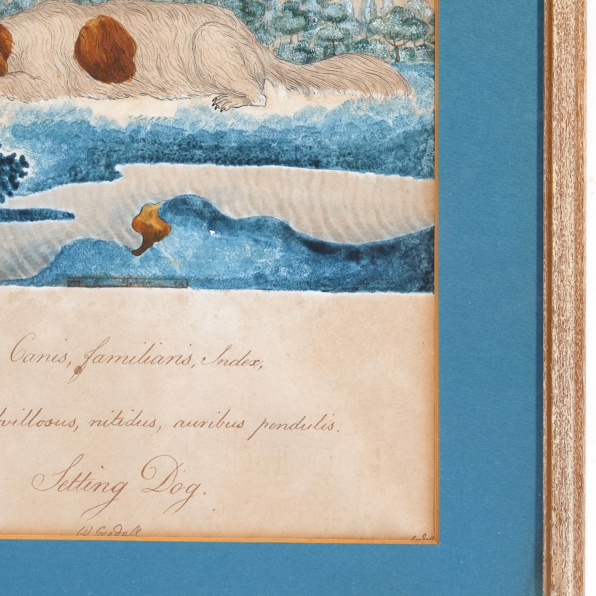 WILLIAM GOODALL | WILLIAM GOODALL (English | MutualArt