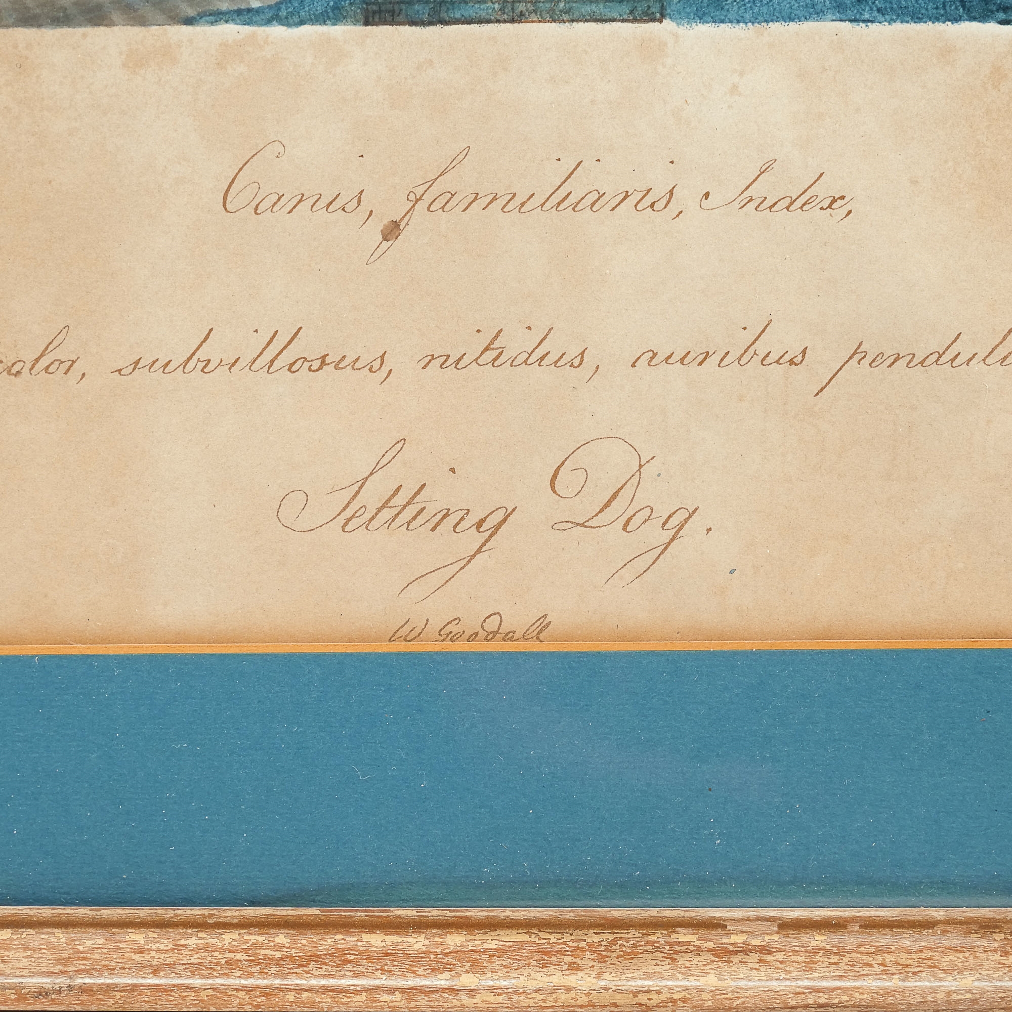 WILLIAM GOODALL | WILLIAM GOODALL (English | MutualArt