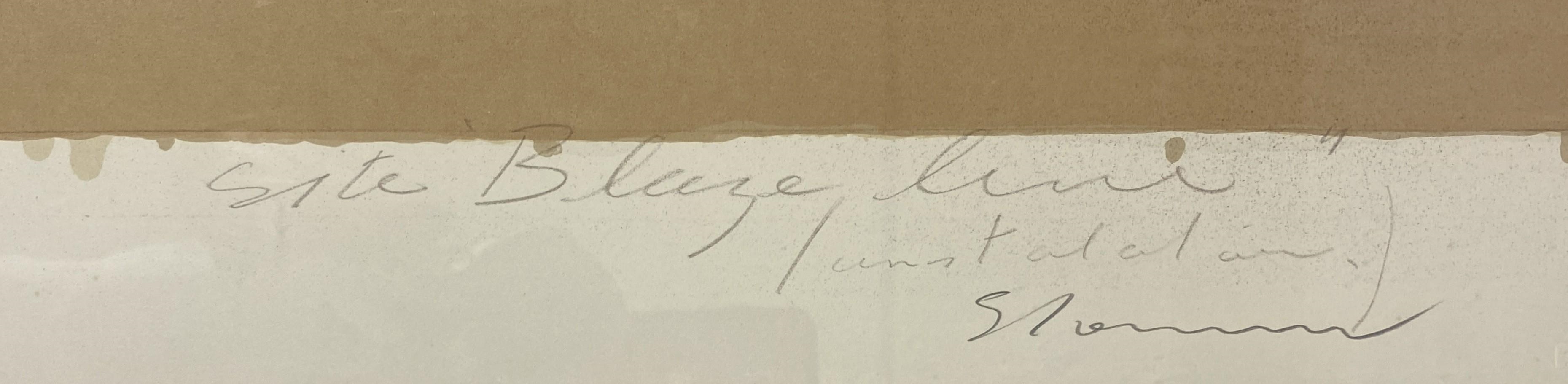 Tim Storrier | Site Blaze Line (2005) | MutualArt