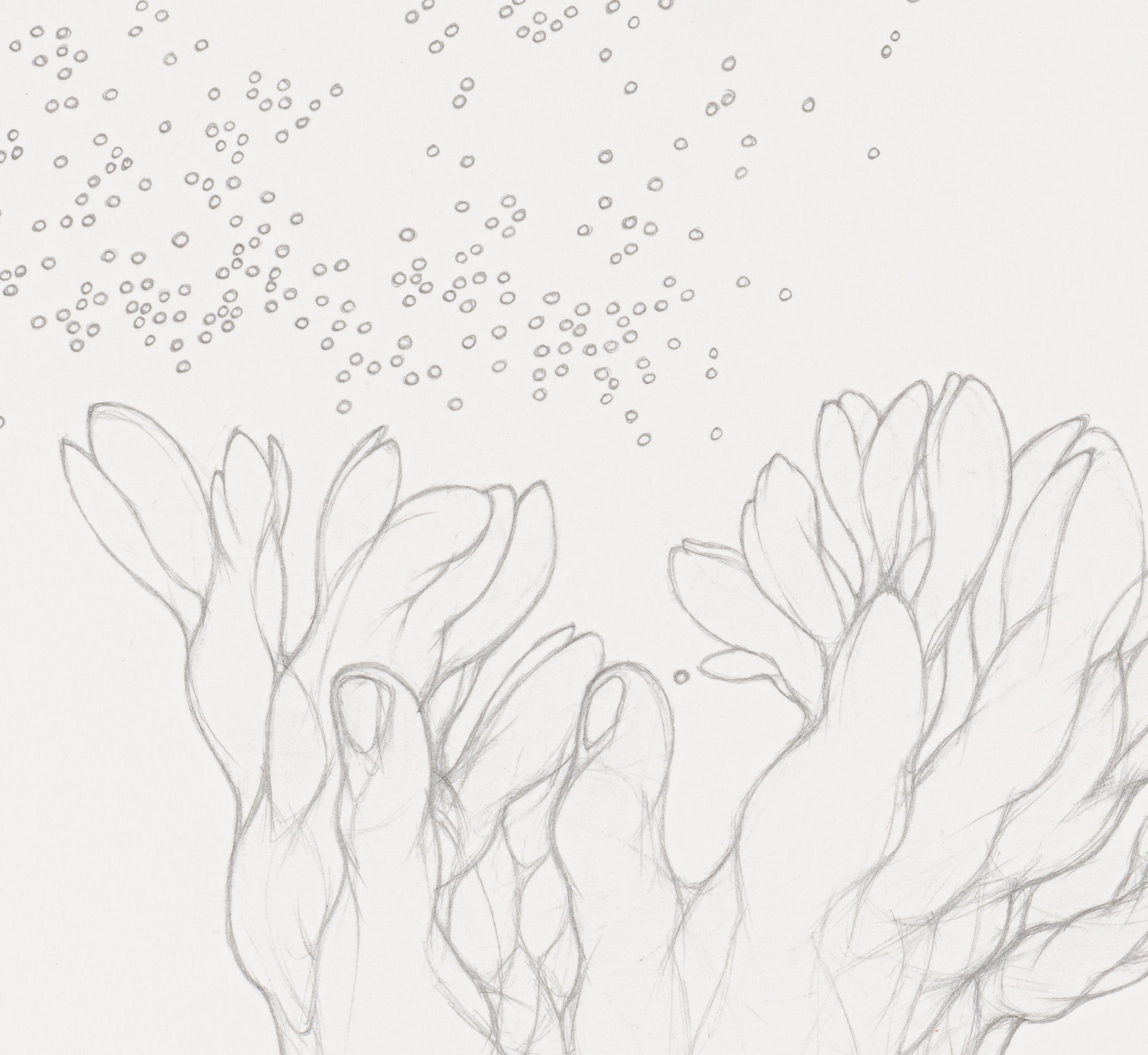 Judith Mason | The Contemplation | MutualArt