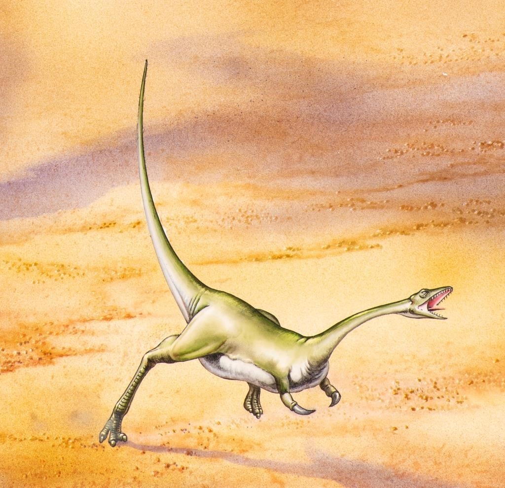 Alex Ebel | Alex Ebel Tyrannosaurus Rex Attacks Oil & Airbrush | MutualArt